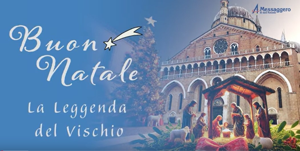 La leggenda del vischio, simbolo di rinascita spirituale | Sant'Antonio ...